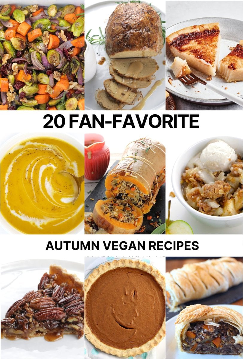 20 Fan-Favorite Autumn Vegan Recipes • It Doesn't Taste Like Chicken